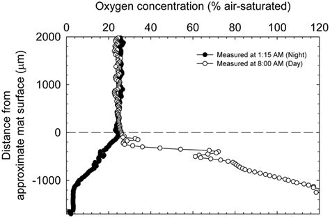 Dissolved Oxygen Depth Profiles Entering The Upper Strata Of The