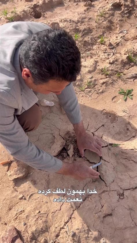 کلیپ جالب پیدا کردن قارچ های زیر خاکی