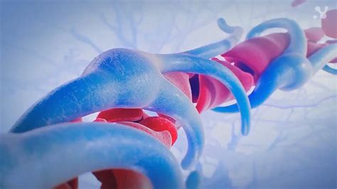 Best 13 How Does Crispr Work Artofit