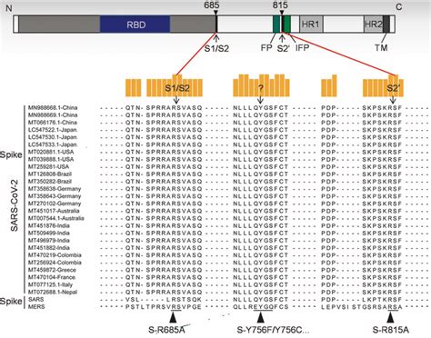 Solved For This Question Consider The Multiple Sequence