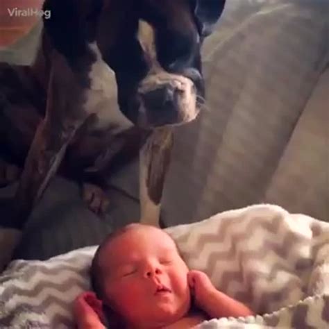 Shivam Jaiswal Posted On Linkedin