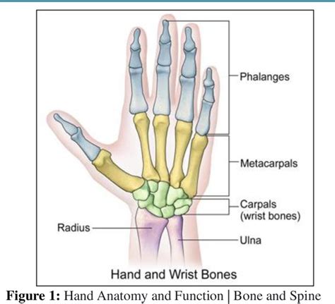Figure 1 From Design And Development Of 3d Printed Prosthetic Arm With