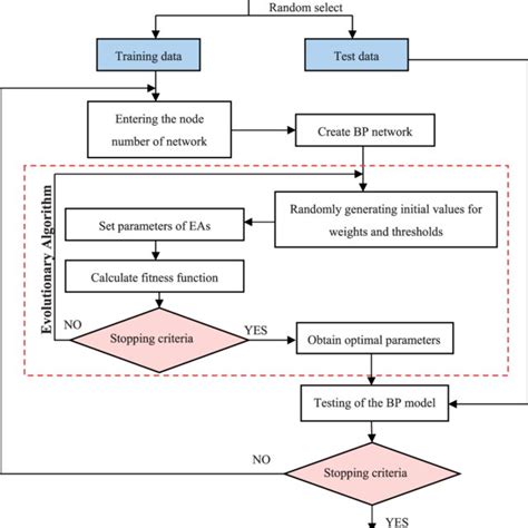 Flowchart Of Optimized Bp Model For Predicting Mmp Bp Back Download Scientific Diagram