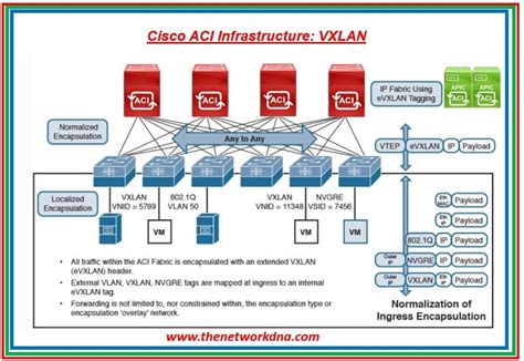 Cisco ACI Control Plane Components The Network DNA