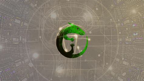 Deeplizard《pytorch神经网络高效入门教程》中文字幕版哔哩哔哩bilibili