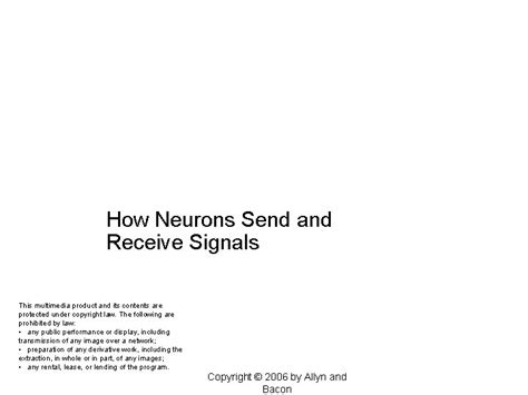 Chapter 4 Neural Conduction And Synaptic Transmission How