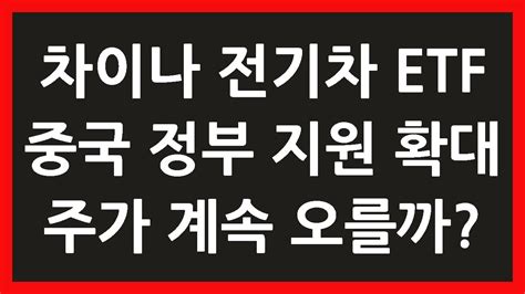 차이나 전기차 Solactive 주가 전망 타이거 Tiger Etf 레버리지 중국 2차전지 배터리 주식 장기 투자 장투 단타