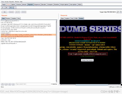 Sql注入类型之cookie注入cookieshaopsql文件 Csdn博客 Sql注入类型之cookie注入cookieshaopsql文件 Csdn博客