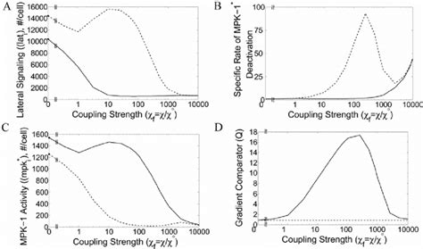 5 Factors Contributing To Coupling Mediated Gradient Amplification A
