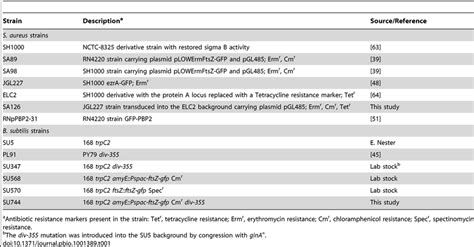 S Aureus And B Subtilis Strains Download Table