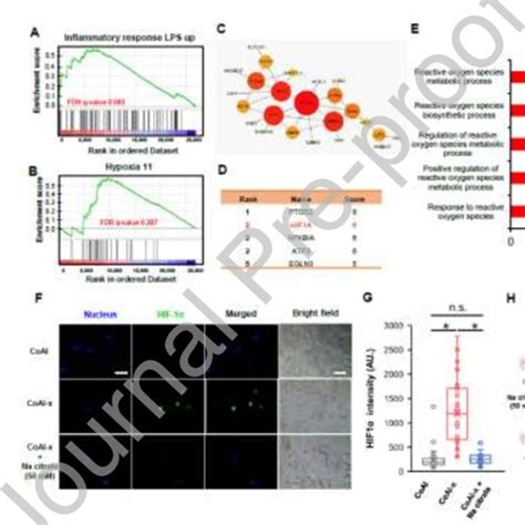 Gene Ontology And Gene Set Enrichment Analysis Of Rna Seq Data Reveals