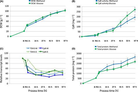 Biomass Generation And Amounts Of Secreted Recombinant And Native Download Scientific Diagram