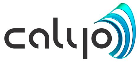 using the ros2 node calyo