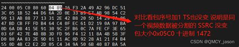 Ffmpeg 向流媒体服务器推rtsp 流时候的 交互过程以及接收到的 Rtp包解析rtp推流流程 Csdn博客