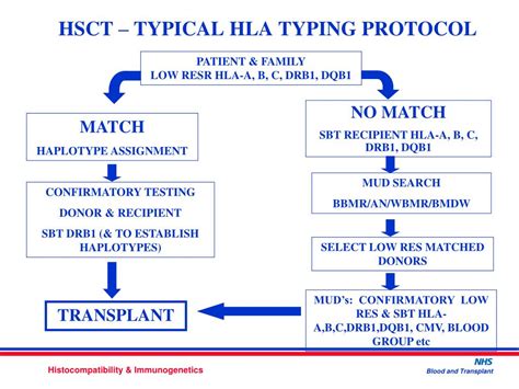Ppt Principles Of Hla Typing Hla Matching In Hsct David Smillie H And I Nhsbt Sheffield