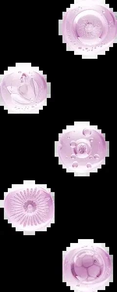 细胞 成分类 元素图片大全 细胞 成分类 元素高清好看的图片 花瓣毓其秀兮最灵的画板