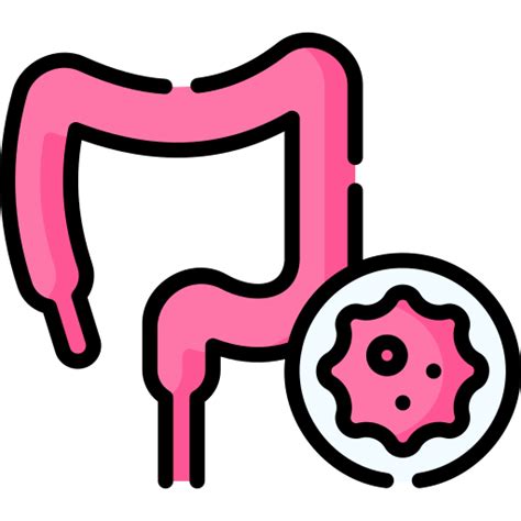 소화 시스템 아이콘 Special Lineal Color Freepik