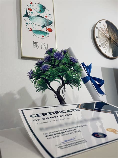 Coder Faculty 🎓 Congratulations To All Our Recent