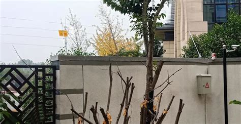 近期周界安防项目展示——领略飞天的力量 激光对射 激光对射厂家 激光对射探测器 激光入侵探测器 激光雷达探测器 激光检测系统 飞天光电