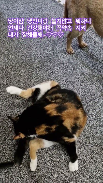 언제나 건강해야해 꼭 약속지켜♡ Youtube