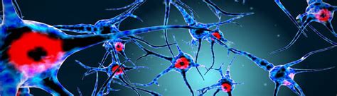 opportunities neural systems analysis laboratoryneural systems
