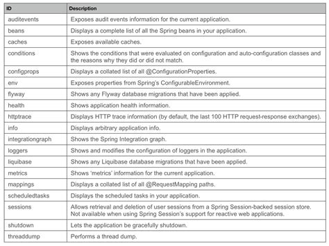 Spring Boot Actuator Javagyansite