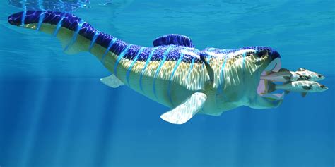 Pseudocoelomate Definition And Examples Biology Online Dictionary