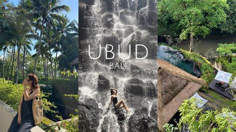 발리ep1 우붓 마야우붓 리조트 원숭이 사원 논밭뷰 안가는 우붓여행기 Youtube