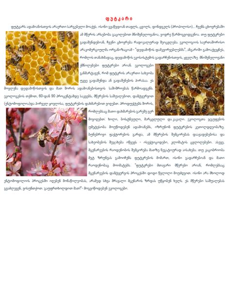 ფუტკარი Pdf