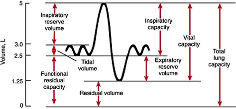 Spirometry Trace