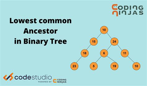 Lowest Common Ancestor Naukri Code 360