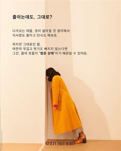 Guilty Free Habit 길티프리해빗 줄이는 데도 그대로인가요 🤔 다가오는 여름 단식도 해보고 식사량도 줄여봤지만 몸은 여전히 무겁고 붓기는 그대로라면