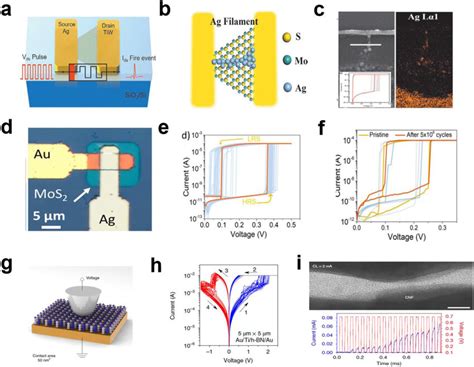 A The Schematic Of Artificial Neuron Fabricated By Cvd Grown Mos2 On Download Scientific