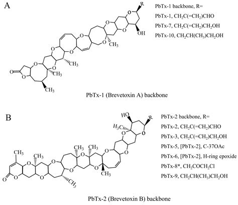Brevetoxin Aptamer Selection And Biolayer Interferometry Biosensor