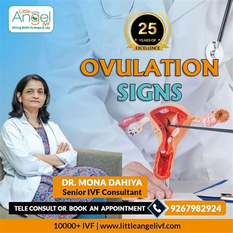 dr mona dahiya ivf expert for fertility tracking little angel ivf fertility center posted on