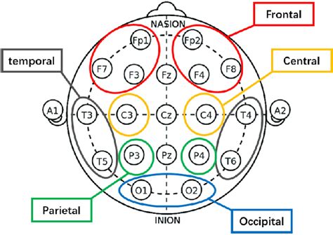 Figure 2 From Graph Theory Based Multilevel Cortical Functional