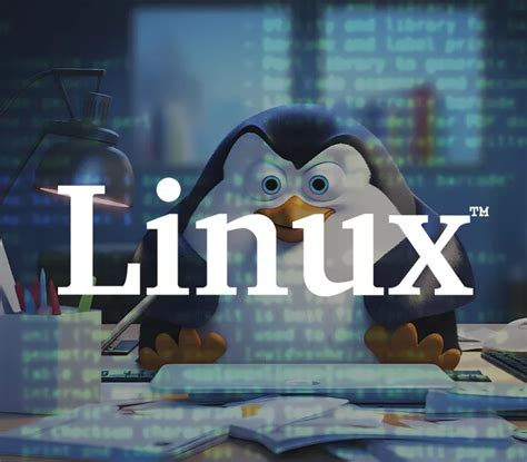 Importance Of Linux Programming For Software Developers Riseup Labs