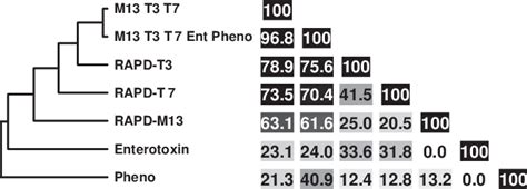 Matrix Of Congruence Values Between The Techniques Applied Calculated Download Scientific