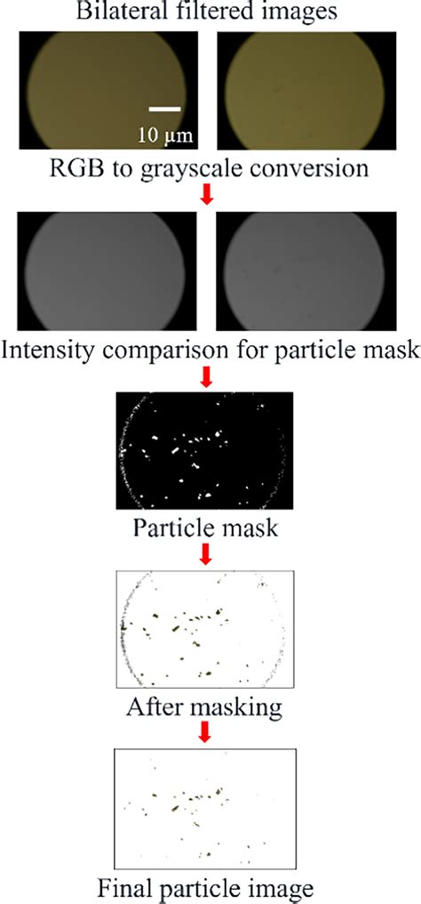 Wafer Particle Inspection Procedure With An Experiment Image Download