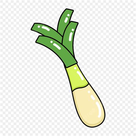유기농 야채 일러스트 파 야채 음식 파 Png 일러스트 및 이미지 에 대한 무료 다운로드 Pngtree
