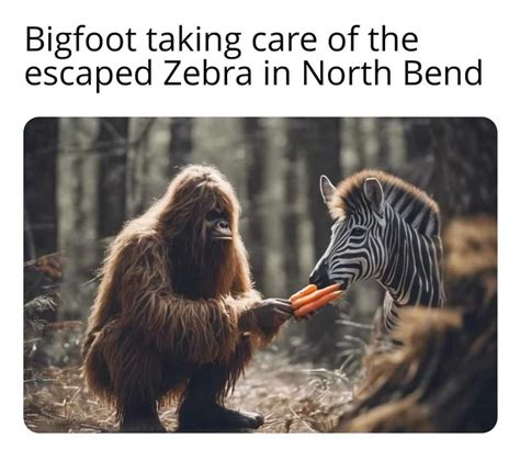 Zebra Meme The A Z Of Ehlers Danlos Syndrome Eds The Memes • My