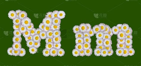 按字母顺序排列的字母作的鲜花 按字母顺序排列的字母作的鲜花