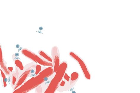 Phage Directory On Linkedin Apply For Internship At Tolka