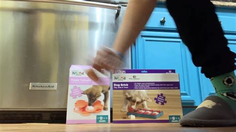 Newest Treat Toys Finally Arrived Lets Get Excited Ryorkies