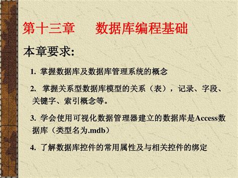 第十三章 数据库编程基础word文档在线阅读与下载无忧文档