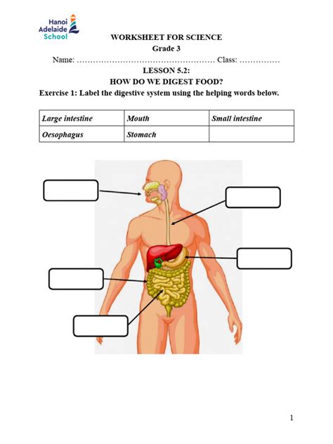 worksheet science 3 lesson 5 2 answers pdf