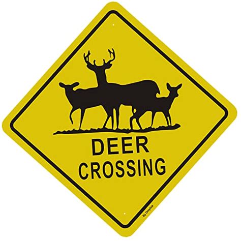 17 Spiritual Meanings Of Deer Crossing Your Path Harness The Energy