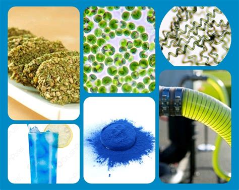 Dr Ambika H D On Linkedin Algae Microalgae Protein Vitamins Co2