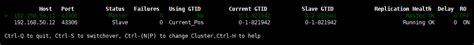 2 2 16 failover command issue · issue 410 · signal18 replication