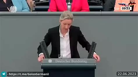 Правительство Шольца Корабль Дураков